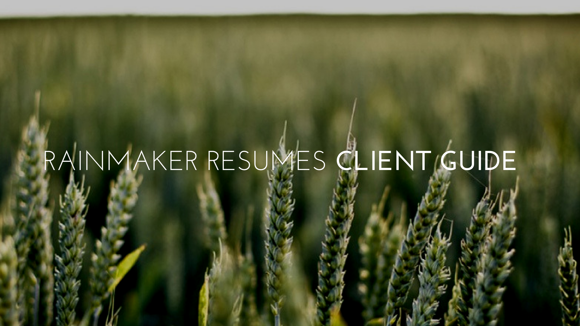 Rainmaker Client Email Letterhead 4 Jennifer Shryock